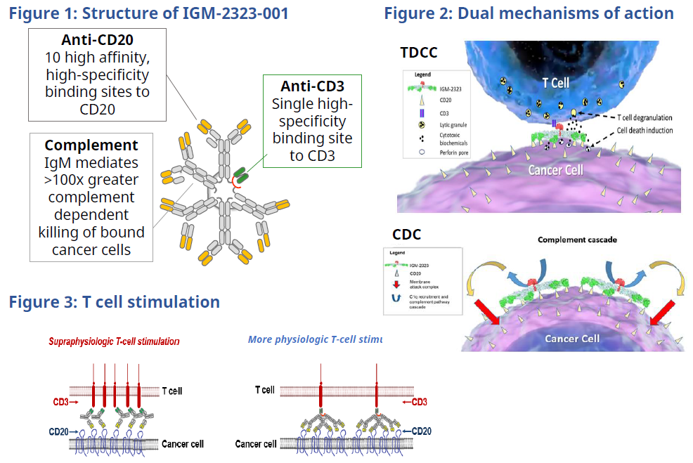 驾驭抗体的Avidity - 知乎