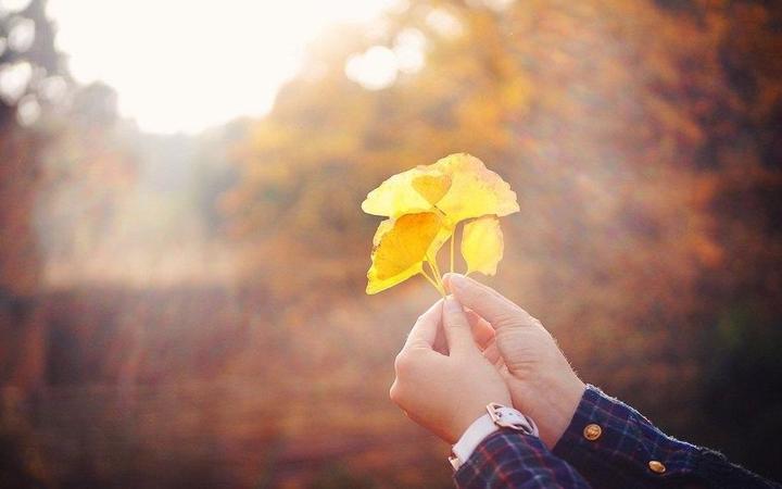 IM消息ID技术专题(六)：深度解密滴滴的高性能ID生成器(Tinyid) - 知乎