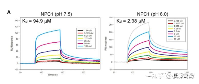 表面等离子共振（SPR）技术 - 知乎