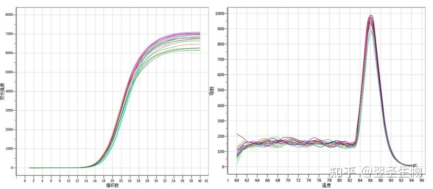 手把手教你做出RT-qPCR最美曲线系列：cDNA的这2个要素，你注意到了吗？ - 知乎