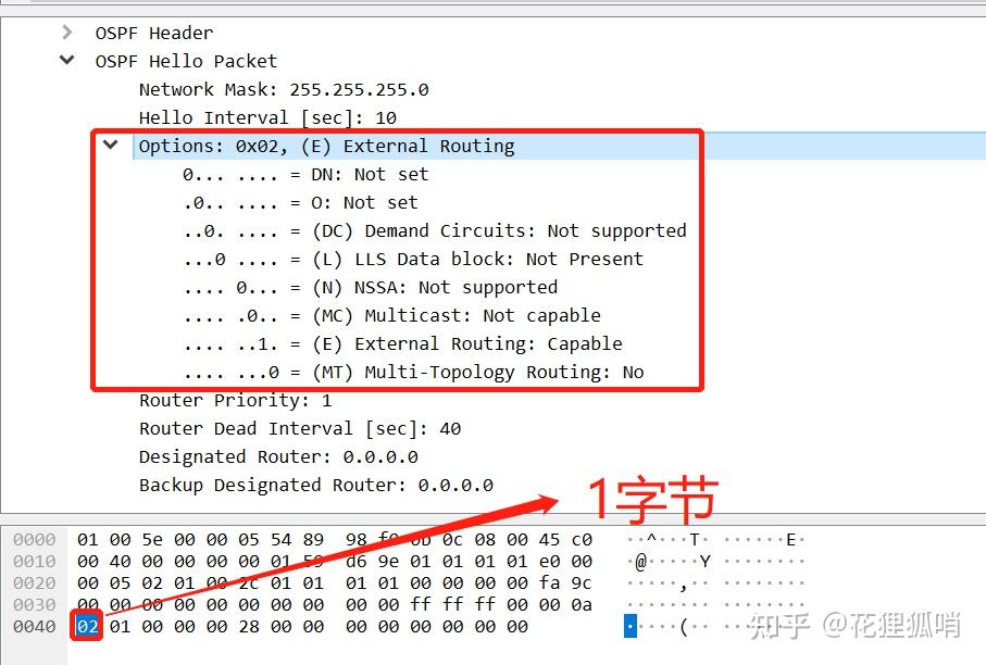 OSPF报文格式 - 知乎