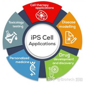 CAR-T与iPSC联手丨大规模生产通用型CAR-T降低成本 - 知乎