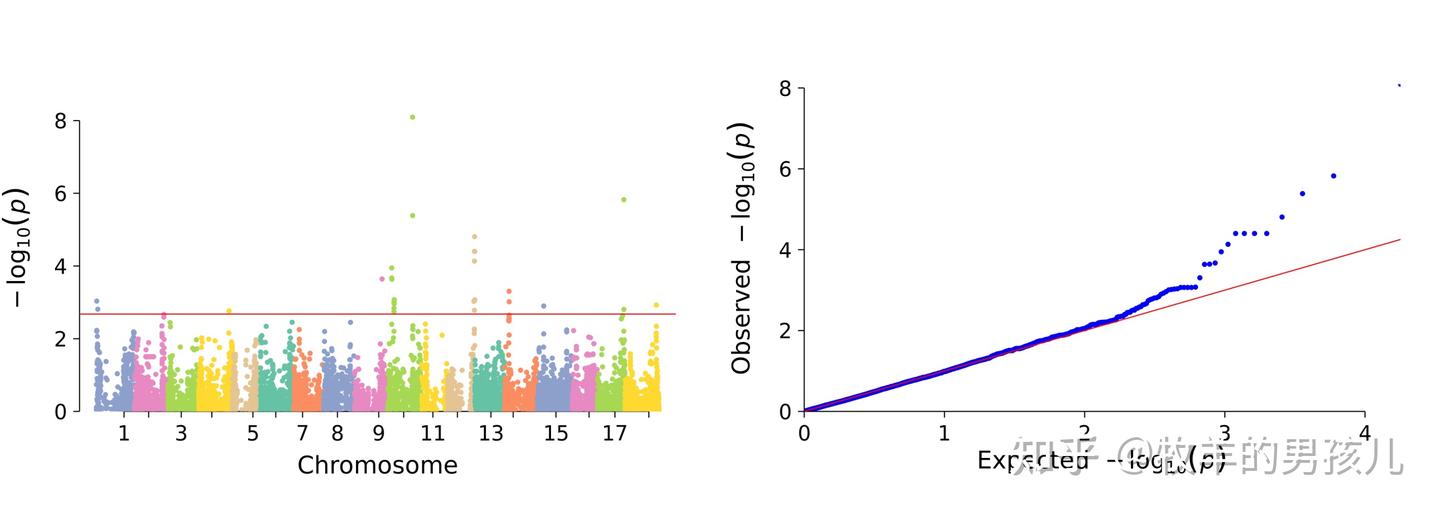 使用plink软件+EMMAX软件做GWAS分析的完整实例 - 知乎