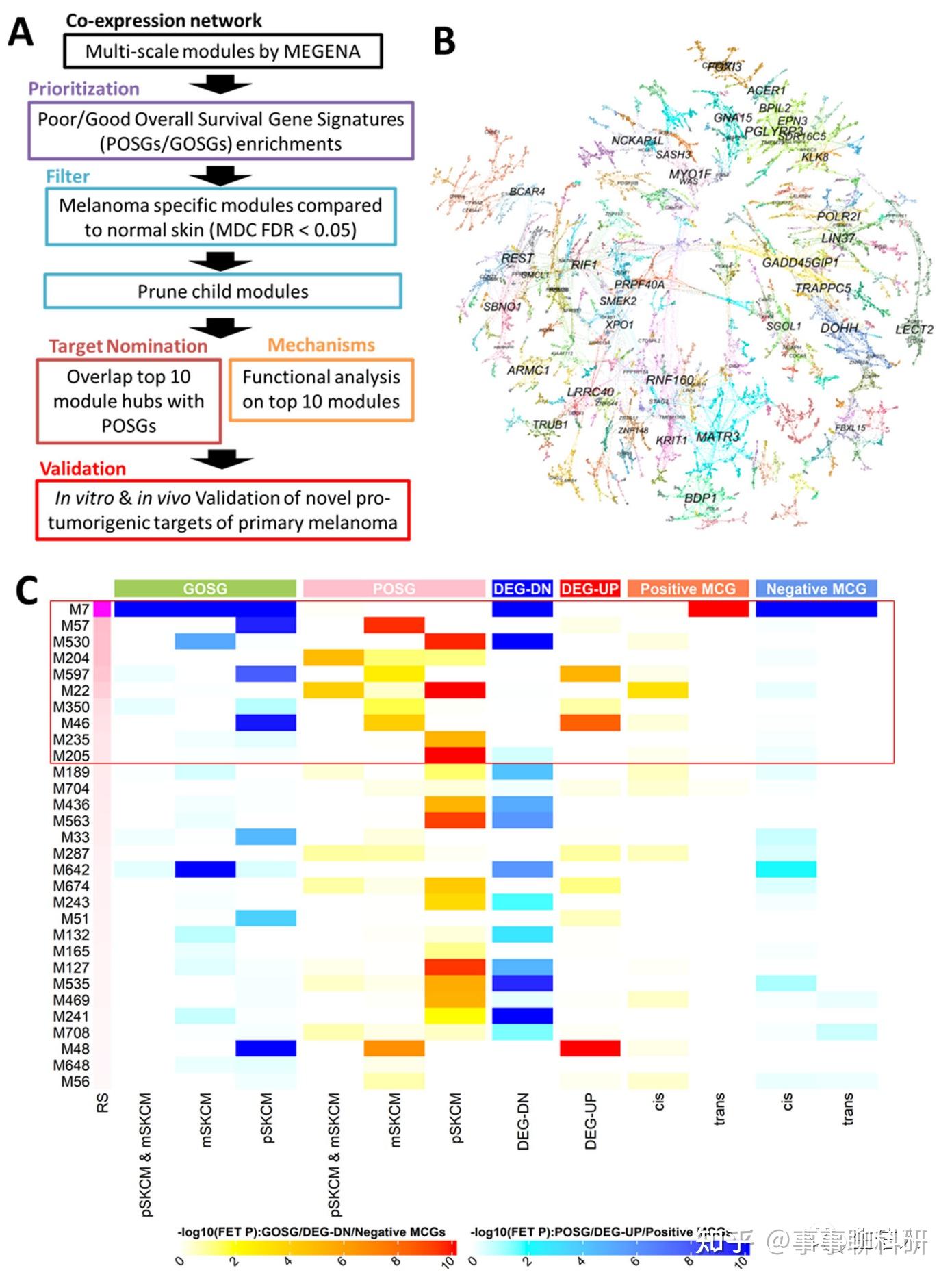 生信分析 还用WGCNA做共表达？你凹凸了！ - 知乎