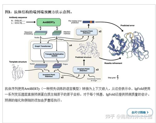 通过深度学习对大量天然抗体进行快速、准确的抗体结构预测 - 知乎
