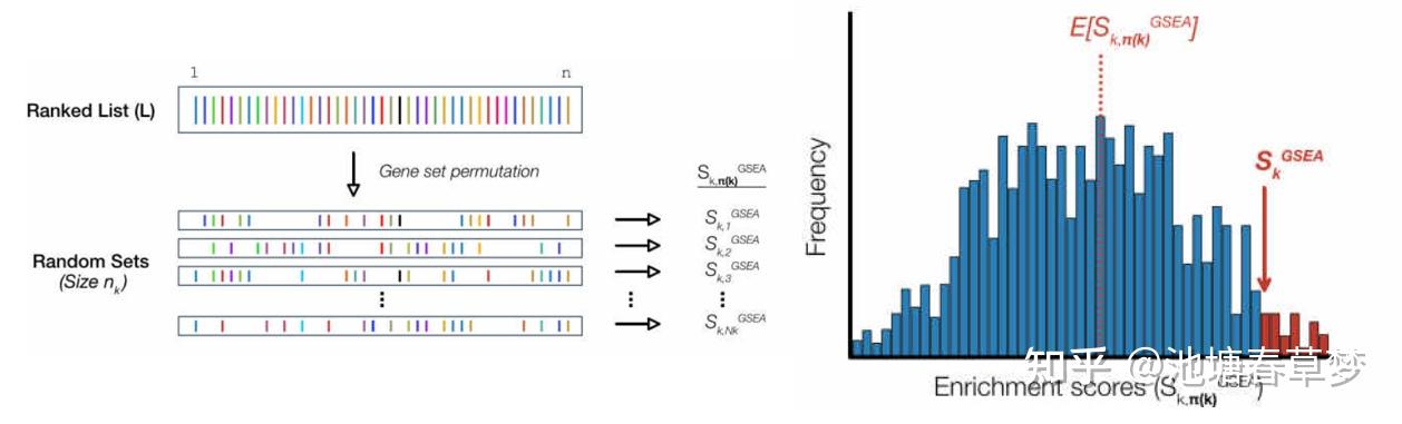 GSEA论文讲解（Gene set enrichment analysis） - 知乎