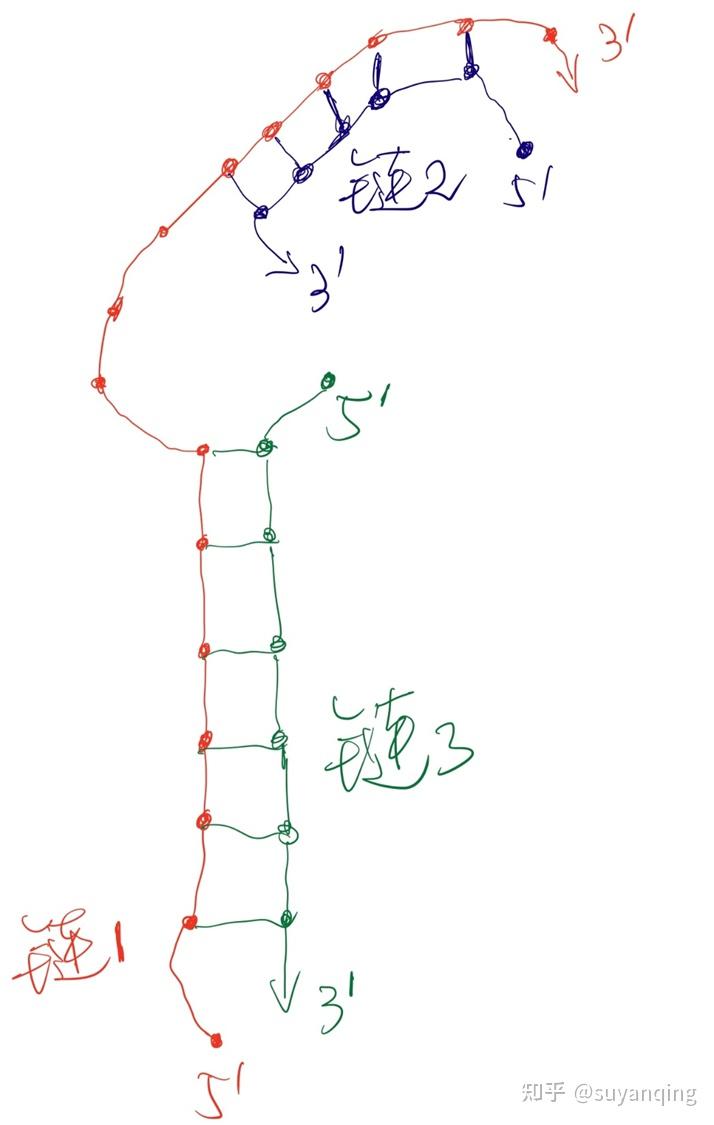 NUPACK网页版使用指南 - 知乎