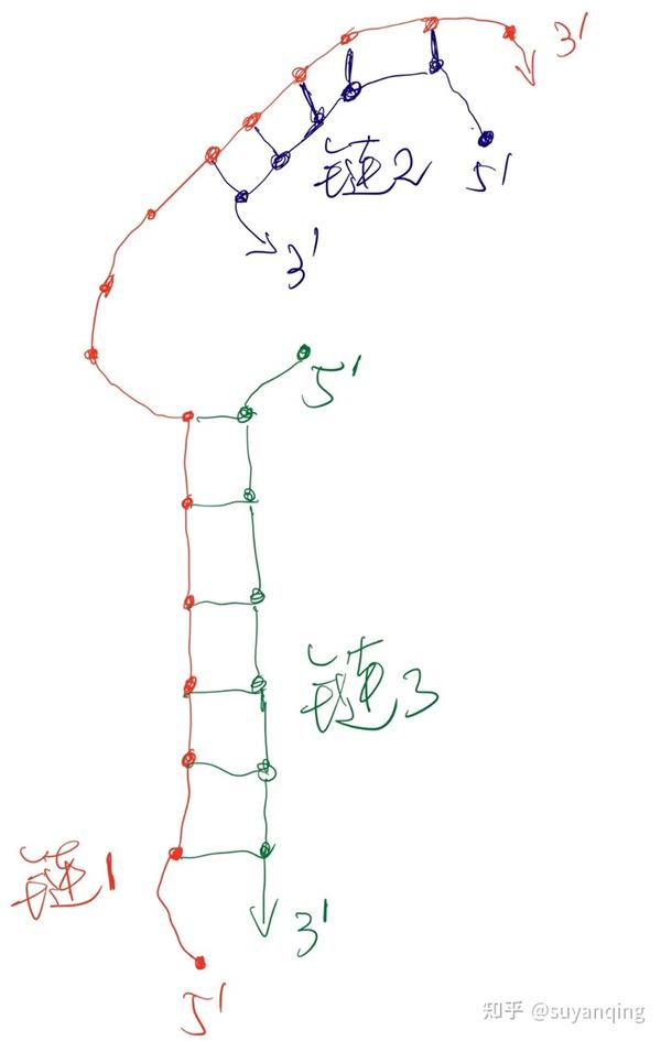 NUPACK网页版使用指南 - 知乎