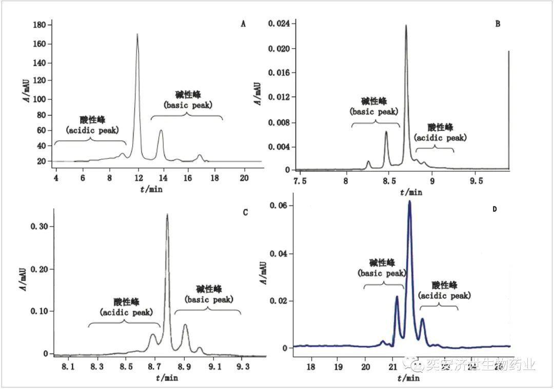 小奕说药 | 单抗药物电荷异构体分析和表征 - 知乎