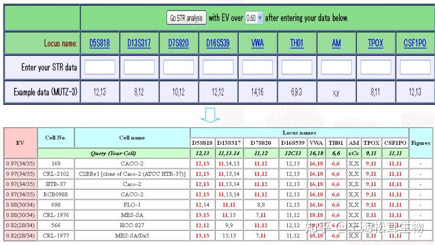 细胞系STR鉴定资料 - 知乎