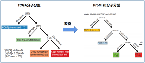 子宫内膜癌分子分型学习笔记 - 知乎