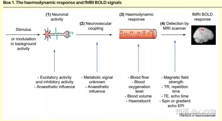 带你认识BOLD-fMRI成像原理 - 知乎
