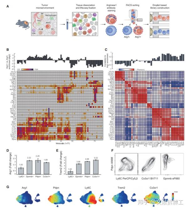 【Cell论文拆解】scRNA-Seq和细胞内蛋白活性相偶联揭示了TREM2在癌症中的免疫抑制作用 - 知乎