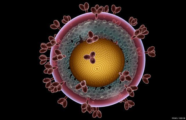 rnase是什么酶？RNase的作用是什么？ - 知乎