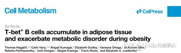 代谢学人--Cell Metabolism: T-bet+ B细胞：肥胖真凶。真相只有一个！ - 知乎
