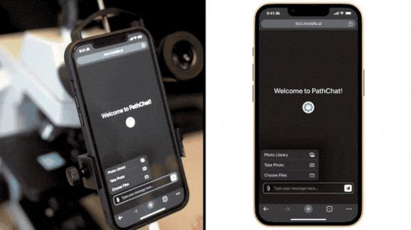 深度洞察｜ 病理基础大模型的前世今生（下） - 知乎
