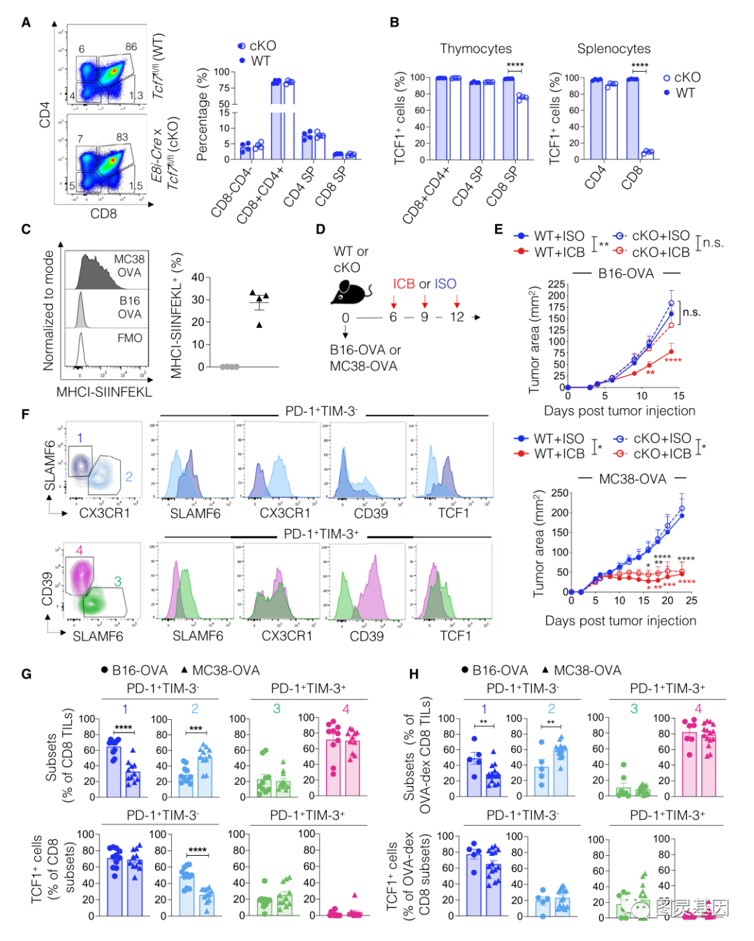 Can Cell | 哈佛医学院揭示肿瘤免疫原性决定免疫治疗对TCF1的依赖性 - 知乎