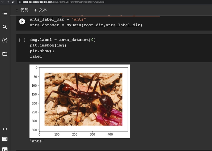 【02】google Colab ｜pytorch Dataset类代码实战 免费GPU google Colaboratory 使用教程 - 知乎