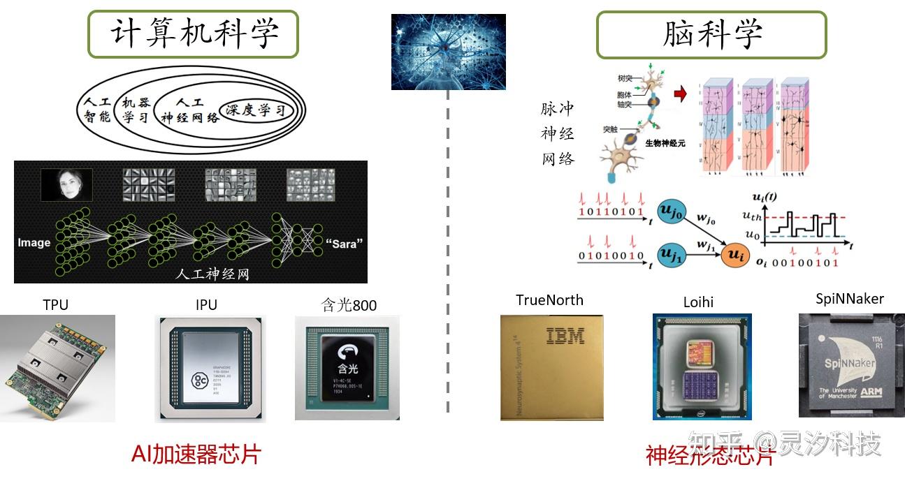 类脑芯片技术简介 - 知乎