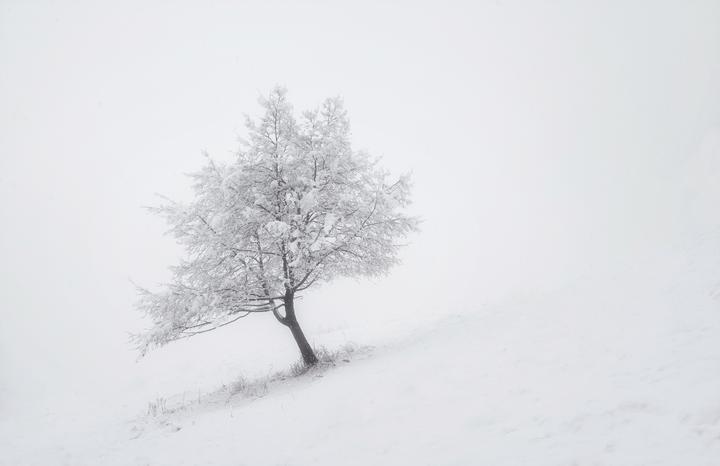 Palabos Tutorial 阅读笔记 | 3.5 在手动创建的多块中的并行化 Parallelism in a manually created multi-block - 知乎