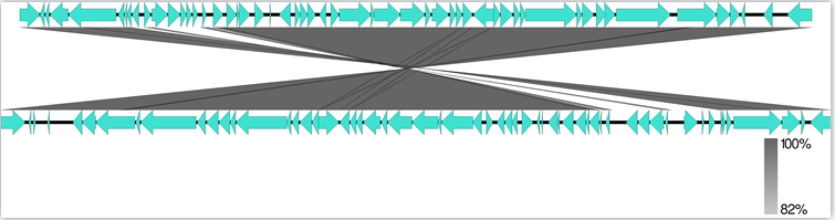 Easyfig怎么使用? - 知乎