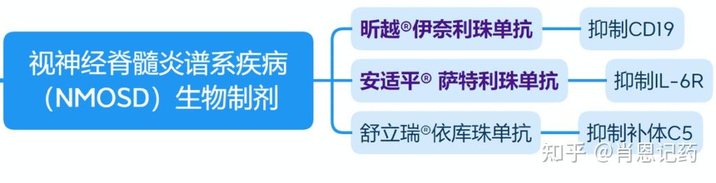 记住所有FDA生物药 | 抗CD19 | 治疗视神经脊髓炎谱系疾病NMOSD | 昕越®伊奈利珠单抗 - 知乎