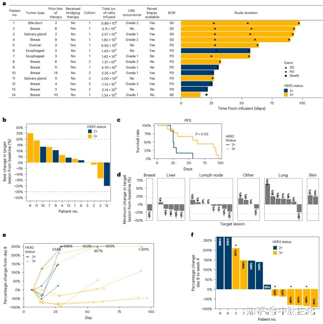 Nature Medicine：首个CAR-巨噬细胞疗法临床试验结果公布，安全有效治疗晚期实体瘤 - 知乎