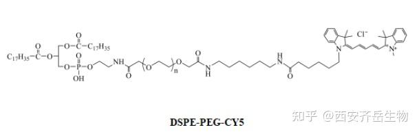 DSPE-PEG-CY3/CY3.5/CY5/CY7/CY7.5的对比和联系 - 知乎