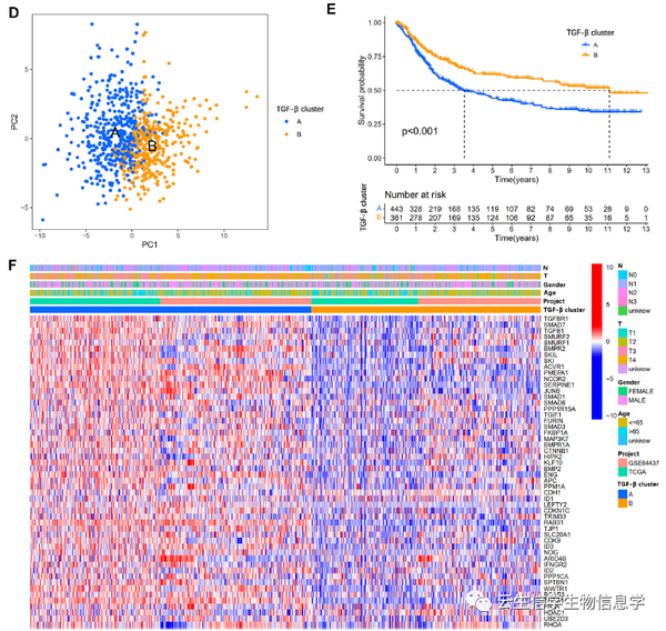 信号通路怎么做生信分析？先用TGF-β给你打个样~再一次证明两次聚类这种独特的分析思路正在走向火热！ - 知乎