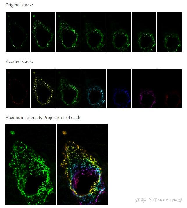 ImageJ实用教程——Depth-Color Code(插件篇) - 知乎