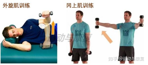 肩峰撞击综合征的4个康复阶段（肩痛康复） - 知乎