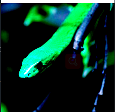 【8】TVM-4：用TVM进行模型量化-附python程序 - 知乎