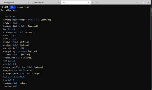打造 Windows 优雅终端（Starship + Terminal） - 知乎