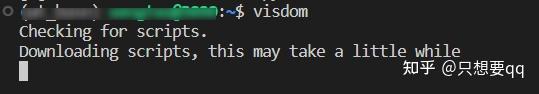 visdom服务启动时提示Downloading scripts, this may take a little while解决办法，以及visdom打不开窗口等问题。 - 知乎