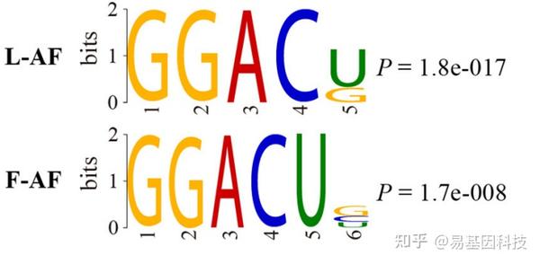 易基因｜m6A RNA甲基化研究的数据挖掘思路：干货系列 - 知乎
