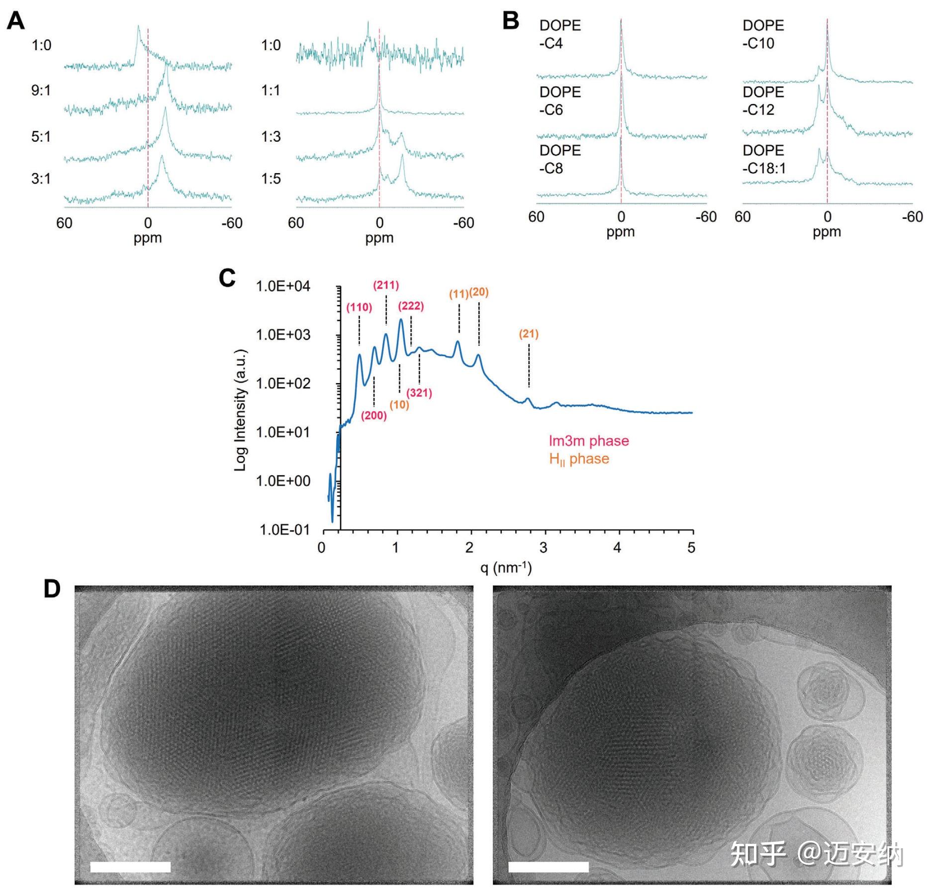 脂质辅料新研究-新型辅助磷脂（DOPE-X）显著提高mRNA-LNP的体内递送 - 知乎