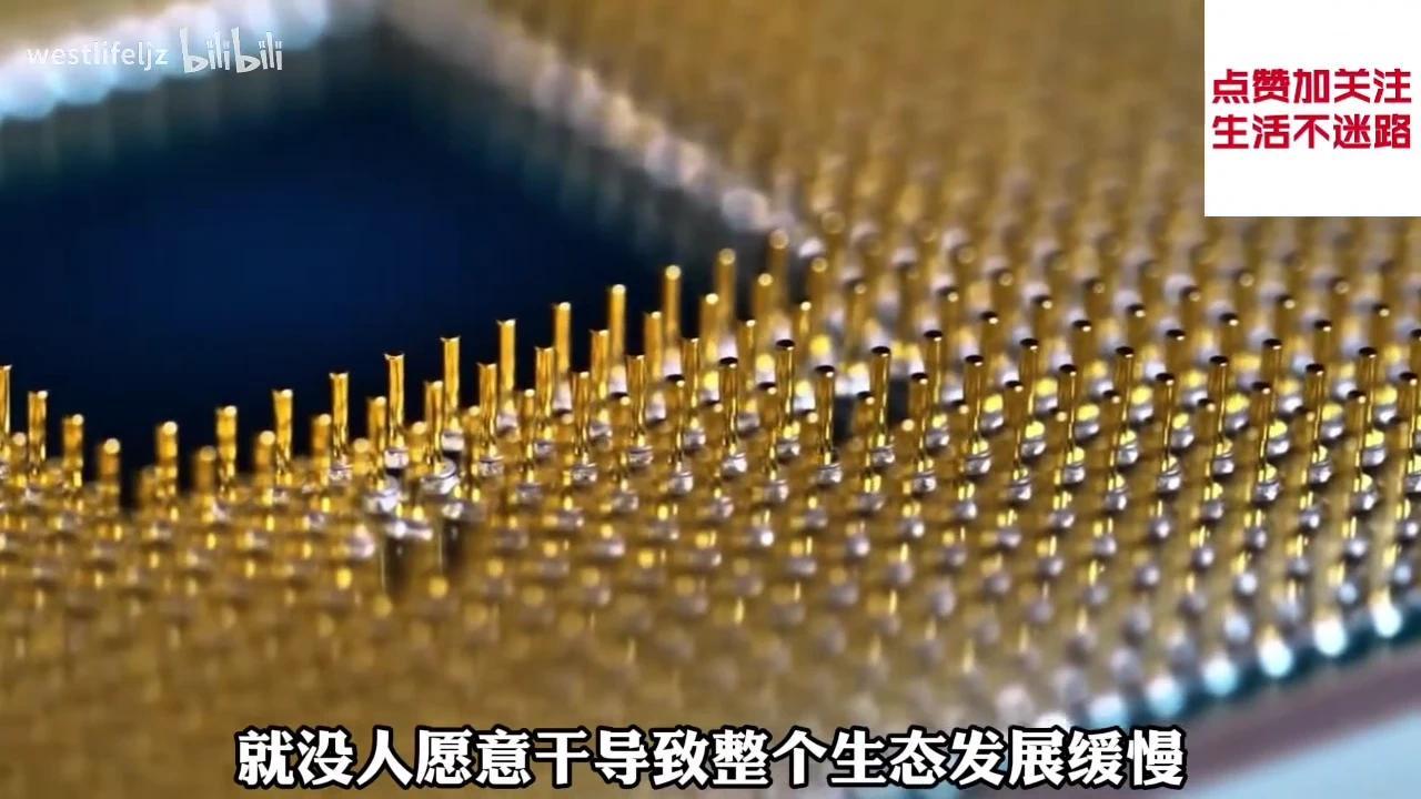 中国首款自主CPU龙芯3C6000的诞生究竟意味着什么 - 知乎