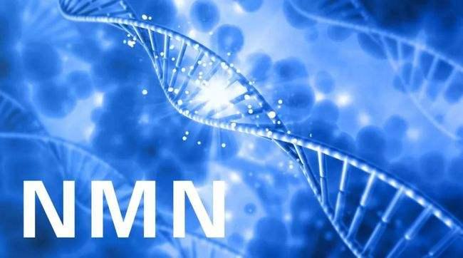 全球NMN原料主要市场及产品盘点：这种神奇的原料还有多大的市场潜力？ - 知乎