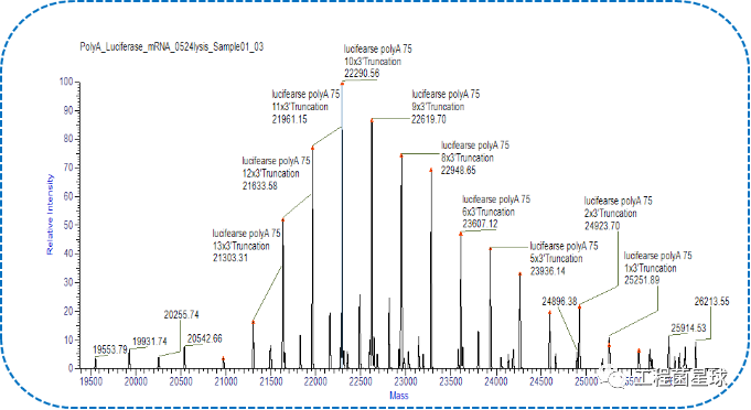 【耀文解读】mRNA polyA尾分布检测：酶切处理与LC-MS分析 - 知乎
