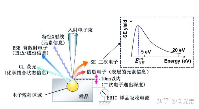 电压衬度成像（Voltage Contrast Imaging, VCI） - 知乎