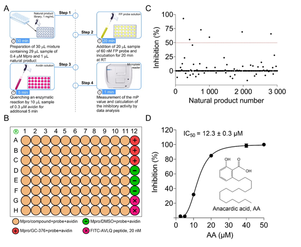 STAR Protocols︱陈云雨/王彦昶团队发表新冠病毒主蛋白酶小分子抑制剂荧光偏振高通量筛选模型的实验方案 - 知乎