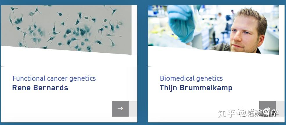 荷兰癌症中心NKI发展历史|优势介绍|博士项目、博士和博士后岗位招聘信息 - 知乎