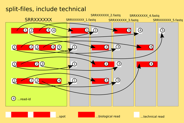 sra转fastq笔记（fastq-dump、fasterq-dump和parallel-fastq-dump） - 知乎