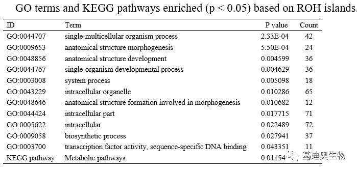 更精准的近交评估分析策略—ROH介绍及应用 - 知乎