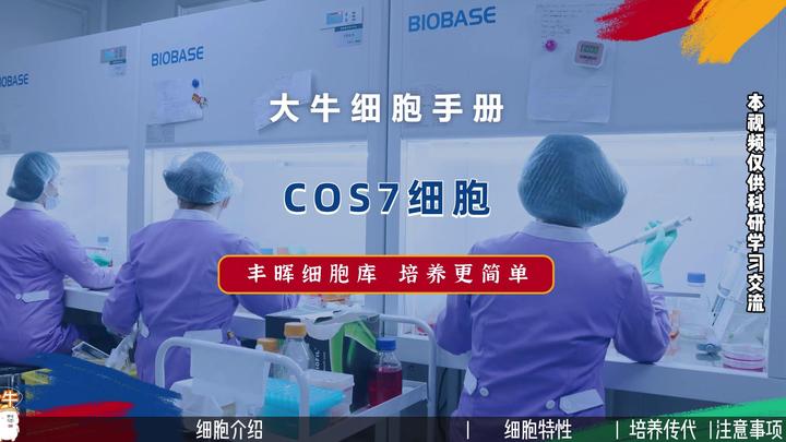 COS-7细胞培养，SV40转化的非洲绿猴肾细胞培养攻略 - 丰晖生物 - 知乎