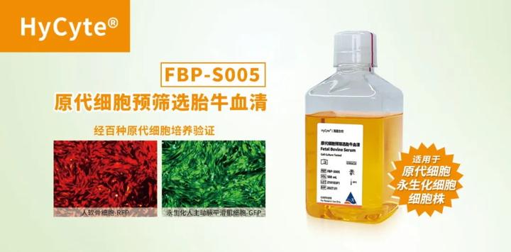 HyCyte®原代细胞预筛选胎牛血清S005—专为原代细胞设计 - 知乎