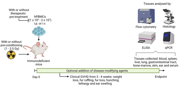 怎么又双叒叕GvHD了？--GvHD模型的建立与应用 - 知乎