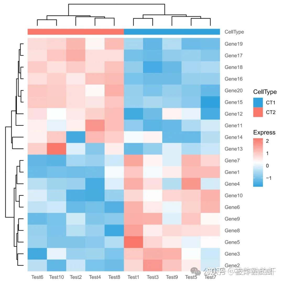 R语言画图 | ggheatmap绘制热图及个性化修饰 - 知乎