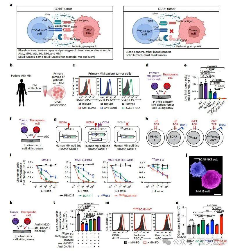 Nat Biotech | 从造血干细胞和祖细胞中产生CAR-NKT细胞 - 知乎